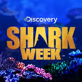 Discovery Channel's Shark Week® - Everi